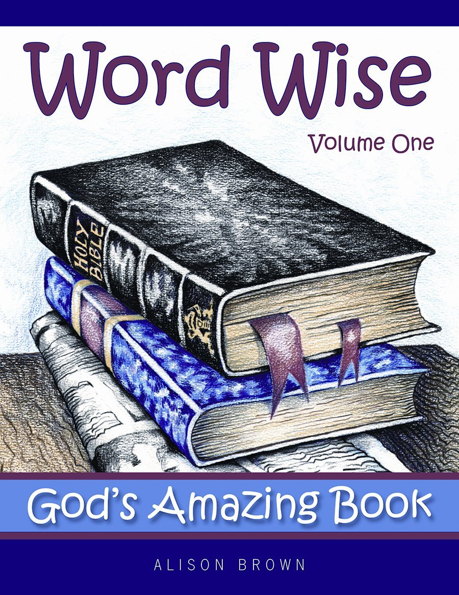 WORD WISE VOL 1 – Good Neighbours Bookshop | Augustine Bookroom