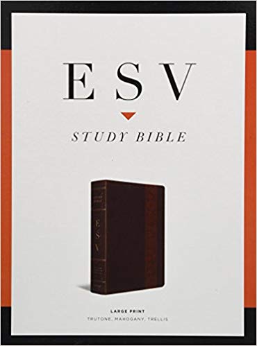 ESV STUDY BIBLE LARGE PRINT TT MAHOGANY – Good Neighbours Bookshop ...