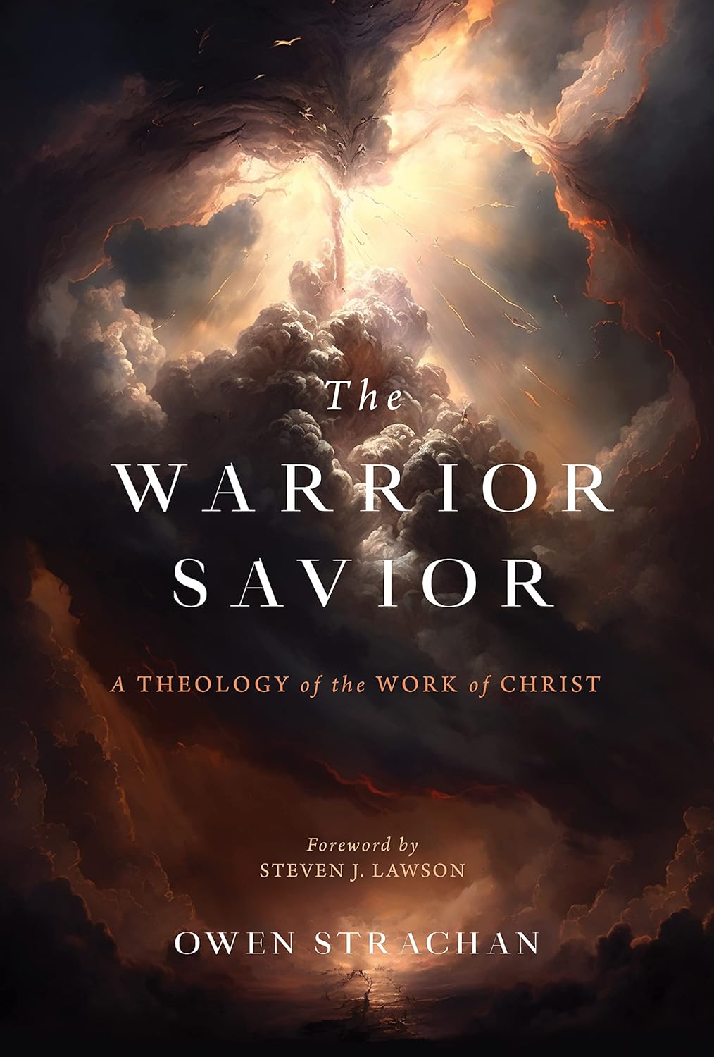 WARRIOR SAVIOUR, THE – Good Neighbours Bookshop | Augustine Bookroom